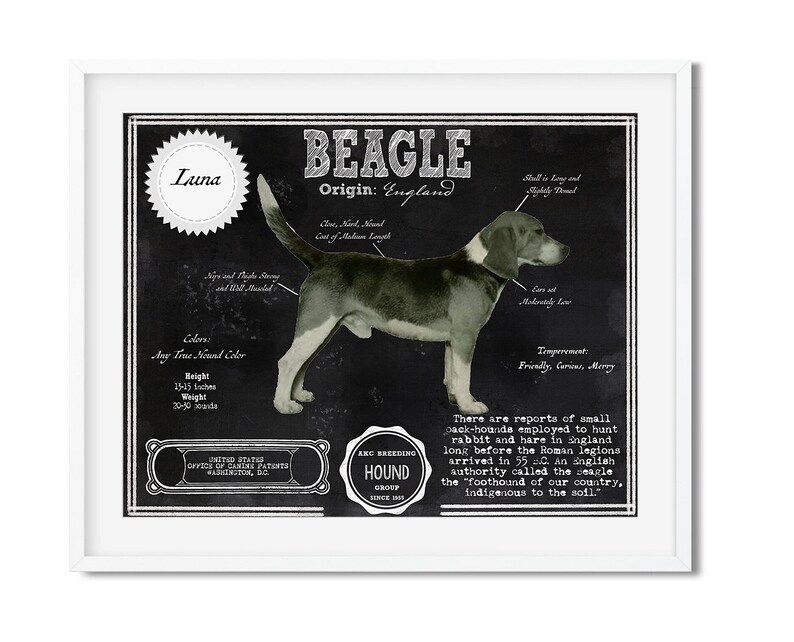 Beagle: Antique Architecture Patent Drawing Style Print / Wall Art ...