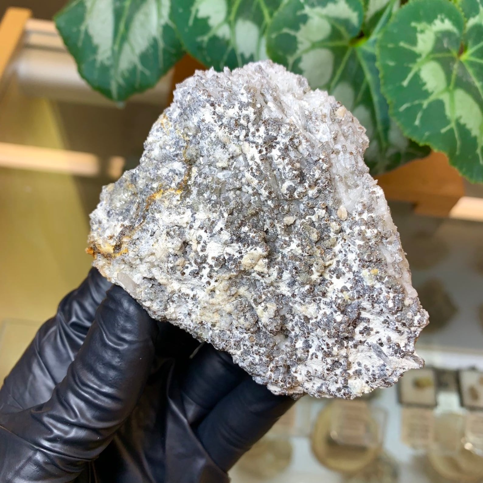 Hydroxylherderite Crystals W/ Quartz & Muscovite Mica "stacks" on ...