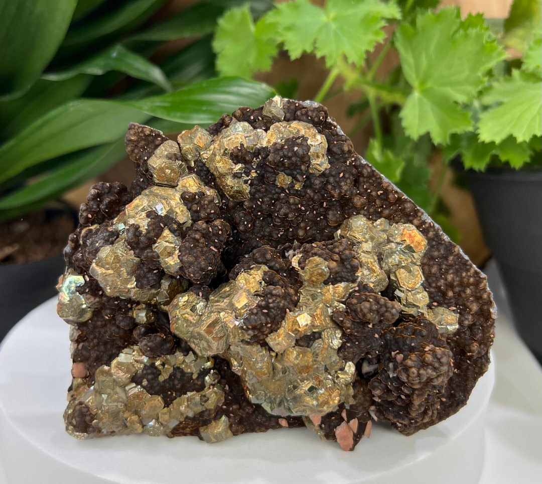 Rare Botryoidal Goethite With Iridescent Pyrite Crystals and Calcite ...