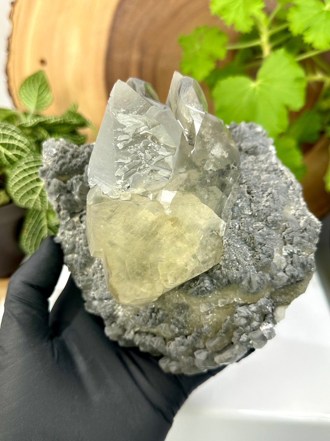 RARE Included Skeletal Calcite With Calcite Crystals in Matrix From ...