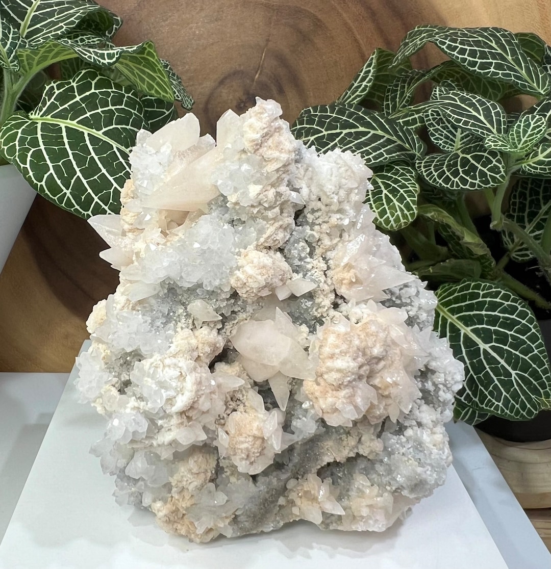 Fluorescent Dog Tooth Calcite Crystals With Druzy Chalcedony in Matrix ...