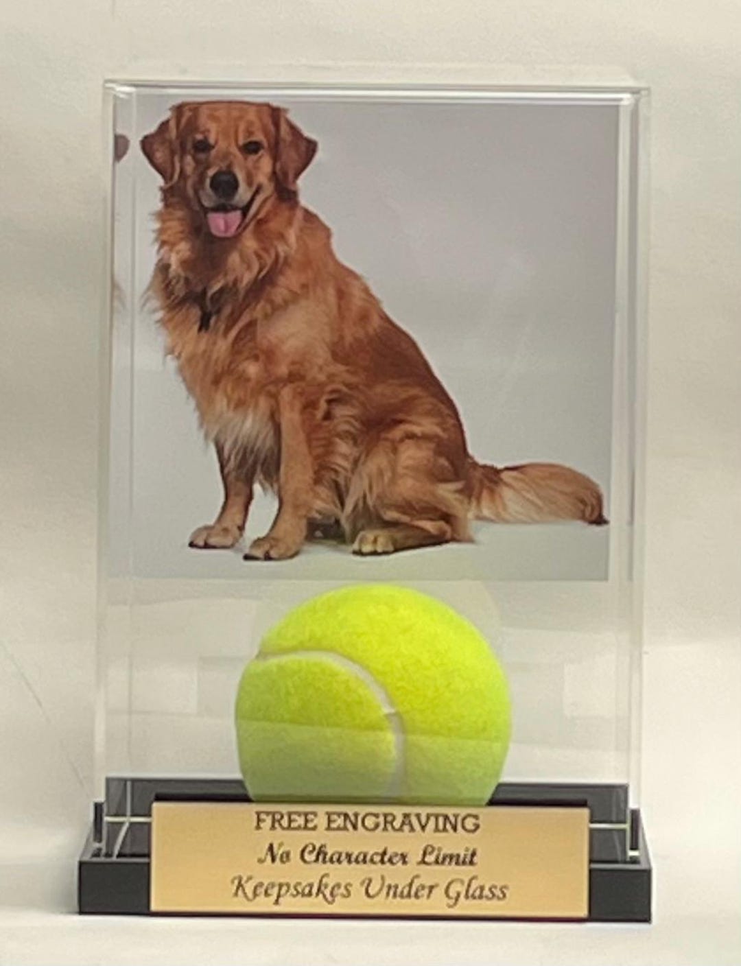 Dog - Pet Memorial Acrylic Display Case Holds a Ball Tennis / Baseball ...