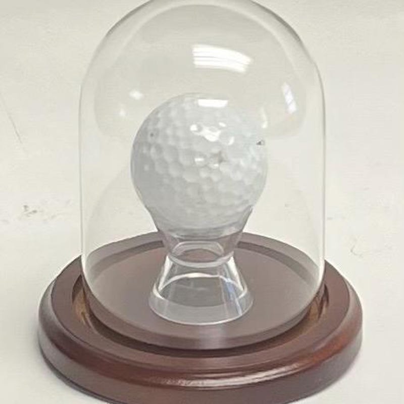 Glass Dome Display - Etsy