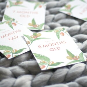 Baby Milestone Cards, Fruit Milestone Cards, Printable Baby Milestones ...