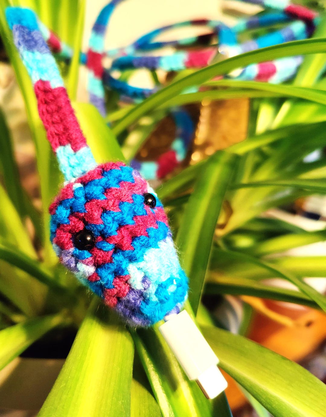 Sneaky Snake Phone Charging Cable (USB-C to USB-C) - 6ft Length - Etsy