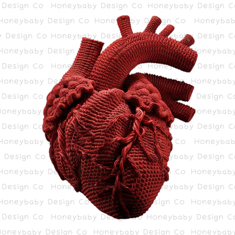 PNG Hyperrealistic Crocheted Anatomical Heart Collection - 12 Designs ...