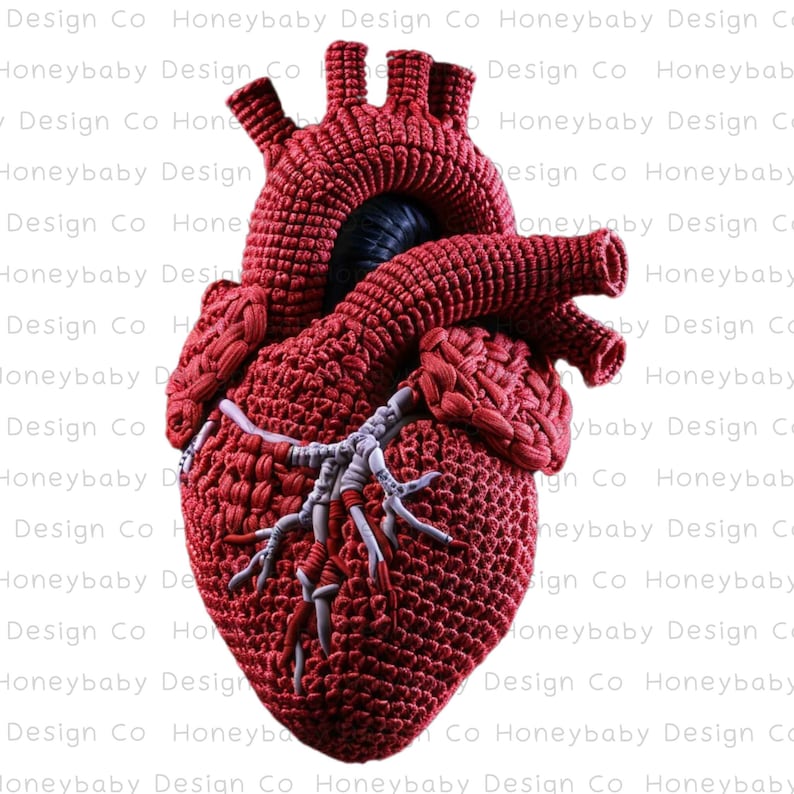 PNG Hyperrealistic Crocheted Anatomical Heart Collection - 12 Designs ...