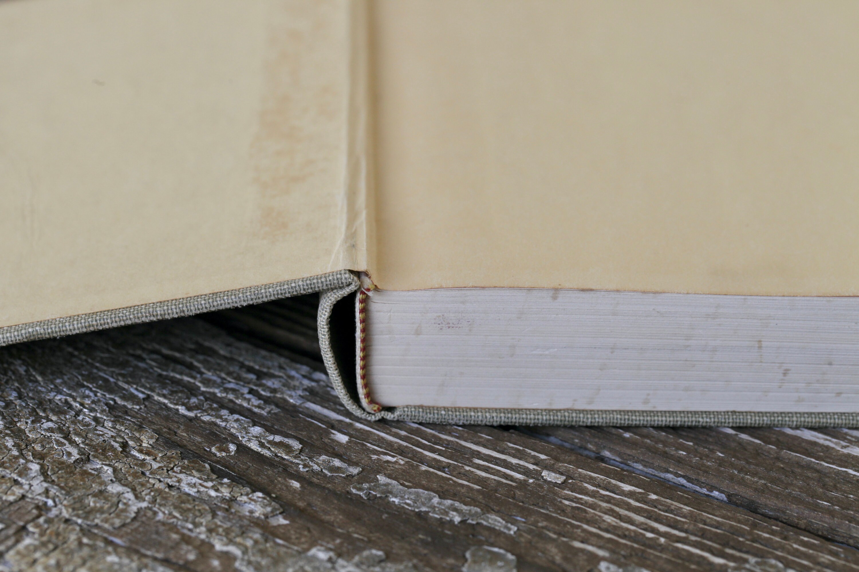 The Utopia of Sir Thomas More, Including Roper's Life of More, Letters ...