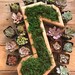 Music Note Succulent Vertical Garden / Living Hanging Wall Planter ...