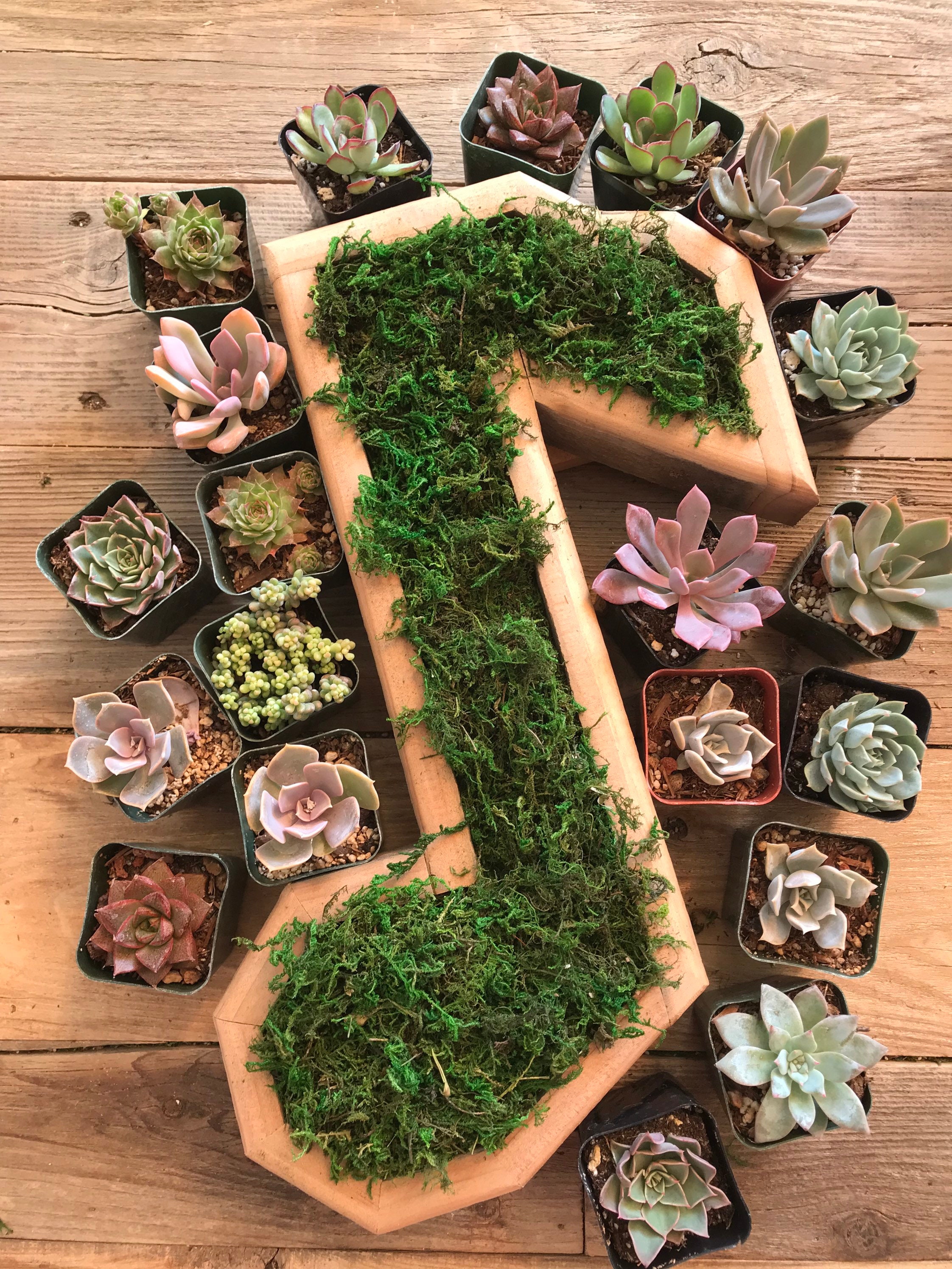 Music Note Succulent Vertical Garden / Living Hanging Wall Planter ...