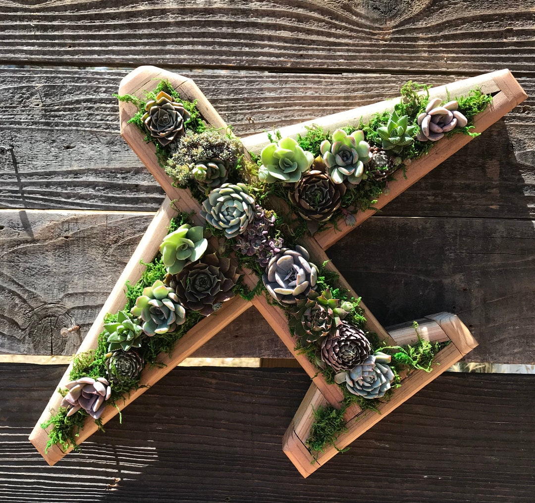 Airplane Vertical Succulent Garden Arrangement: Living Wall/ Diy Kits ...