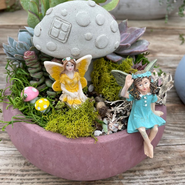 Fairy Garden Planter - Etsy