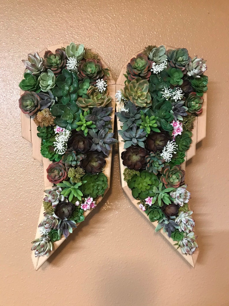 Angel Wings Succulent Planted Arrangement , DIY Kit: Redwood Cedar ...