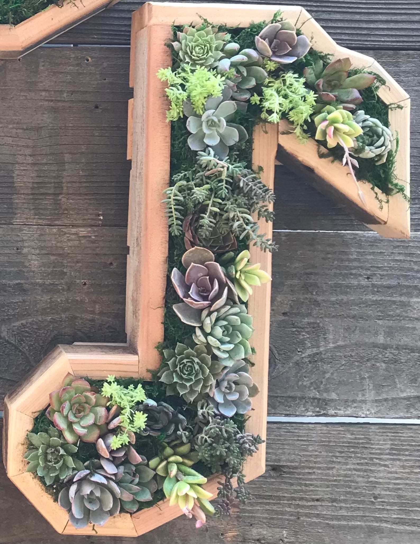 Music Note Succulent Vertical Garden / Living Hanging Wall Planter ...