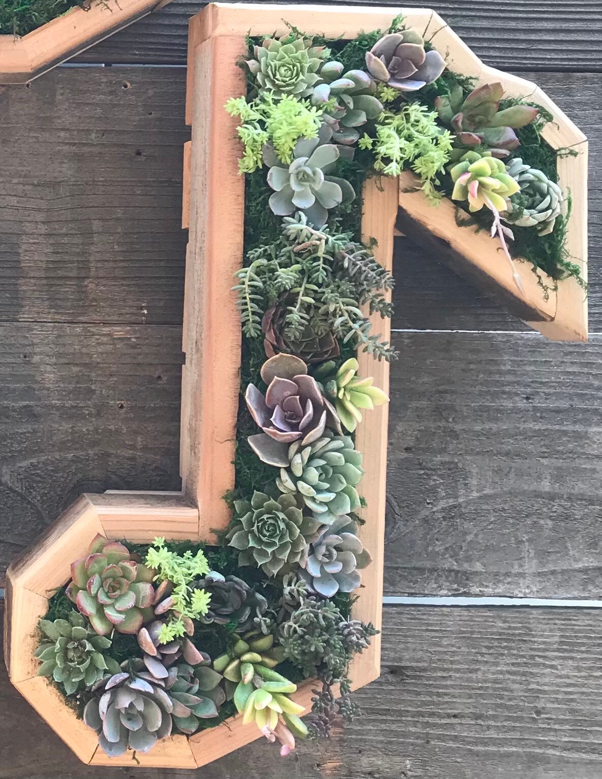 Music Note Succulent Vertical Garden / Living Hanging Wall Planter ...