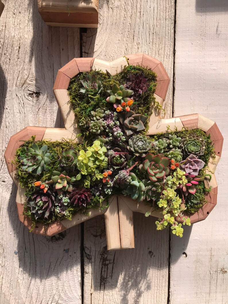 Clover Vertical Succulent Garden Arrangements: Living Wall/ - Etsy