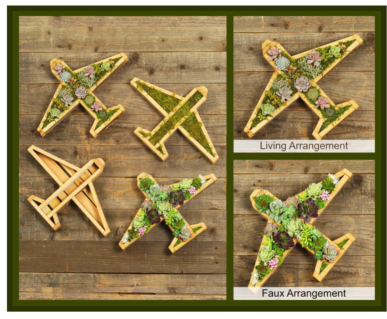 Airplane Vertical Succulent Garden Arrangement: Living Wall/ Diy Kits ...