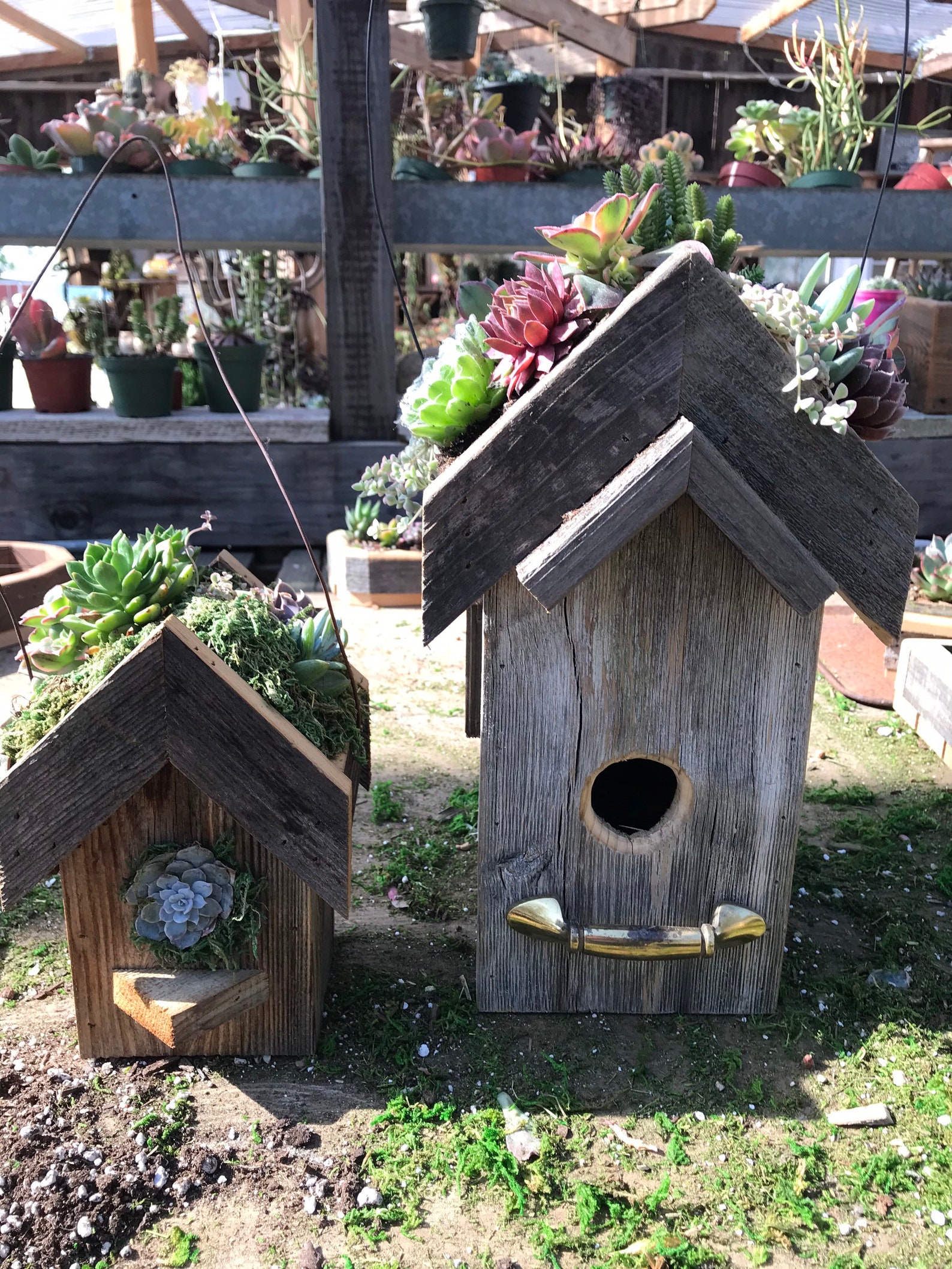 Birdhouse Planter Made From Urban Redwood With a Wire Hanger - Etsy