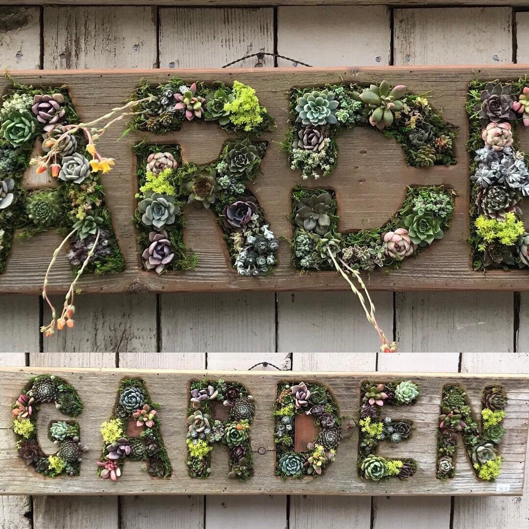 Word Box Vertical Succulent Arrangement/ Succulent Garden/ Vertical ...