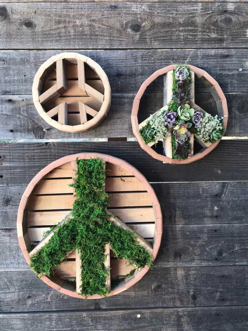 Peace Symbol Vertical Succulent Garden Arrangement: Living - Etsy