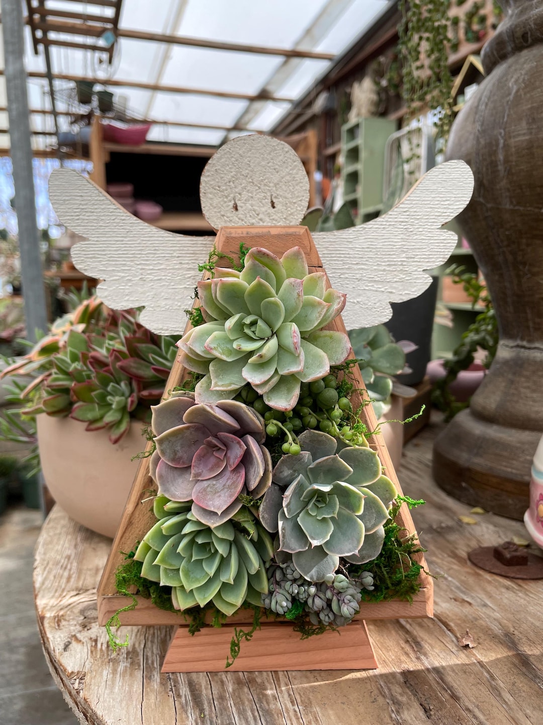 Angel , Christmas Angel, Succulent Wall Planter, DIY, Succulent ...