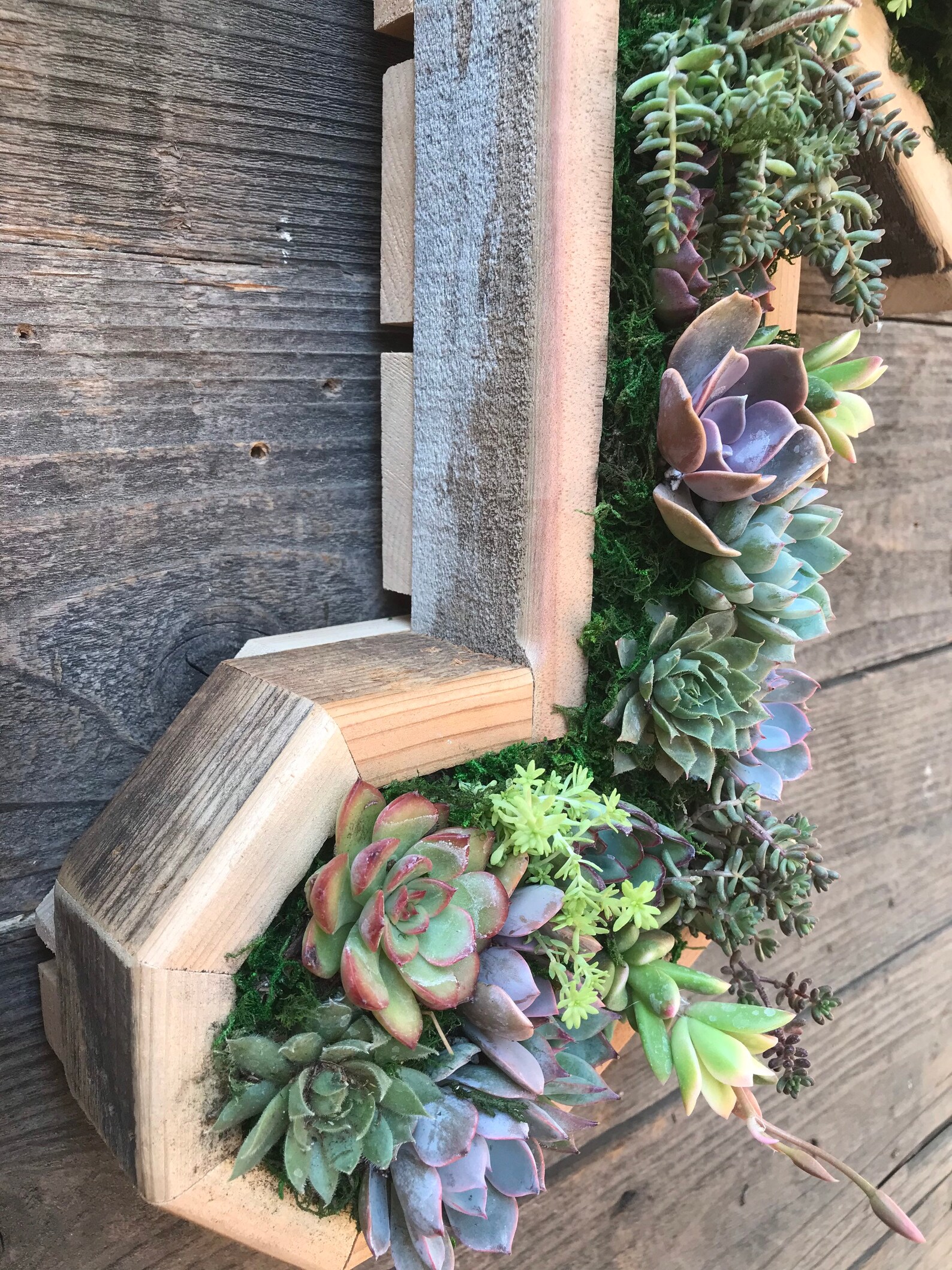 Music Note Succulent Vertical Garden / Living Hanging Wall Planter ...