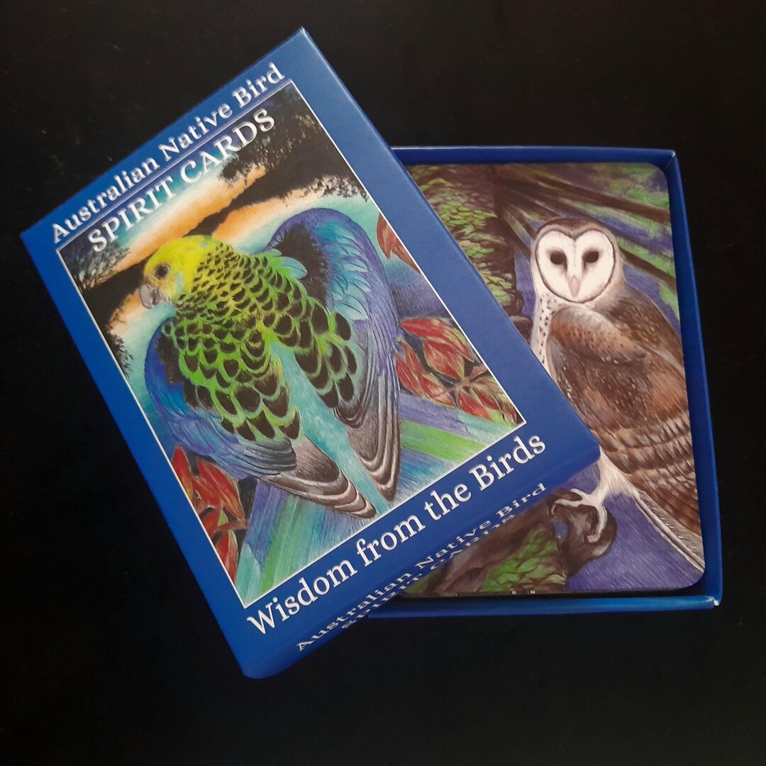 Australian Bird Oracle Cards - A 44 Card Beautifully Illustrated Deck ...