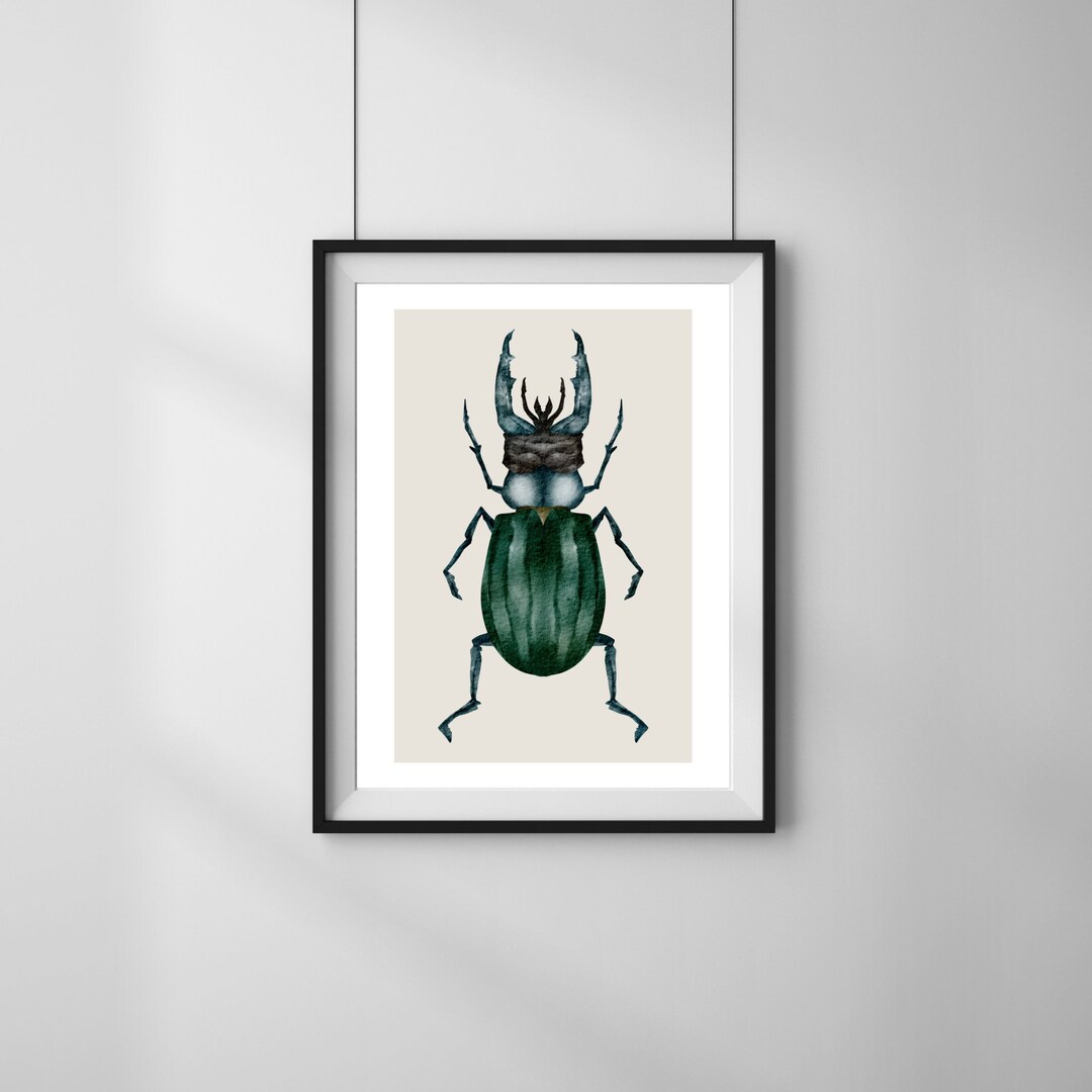 Green Beetle Botanical Gallery Wall Print, Entomology Insect Wall ...