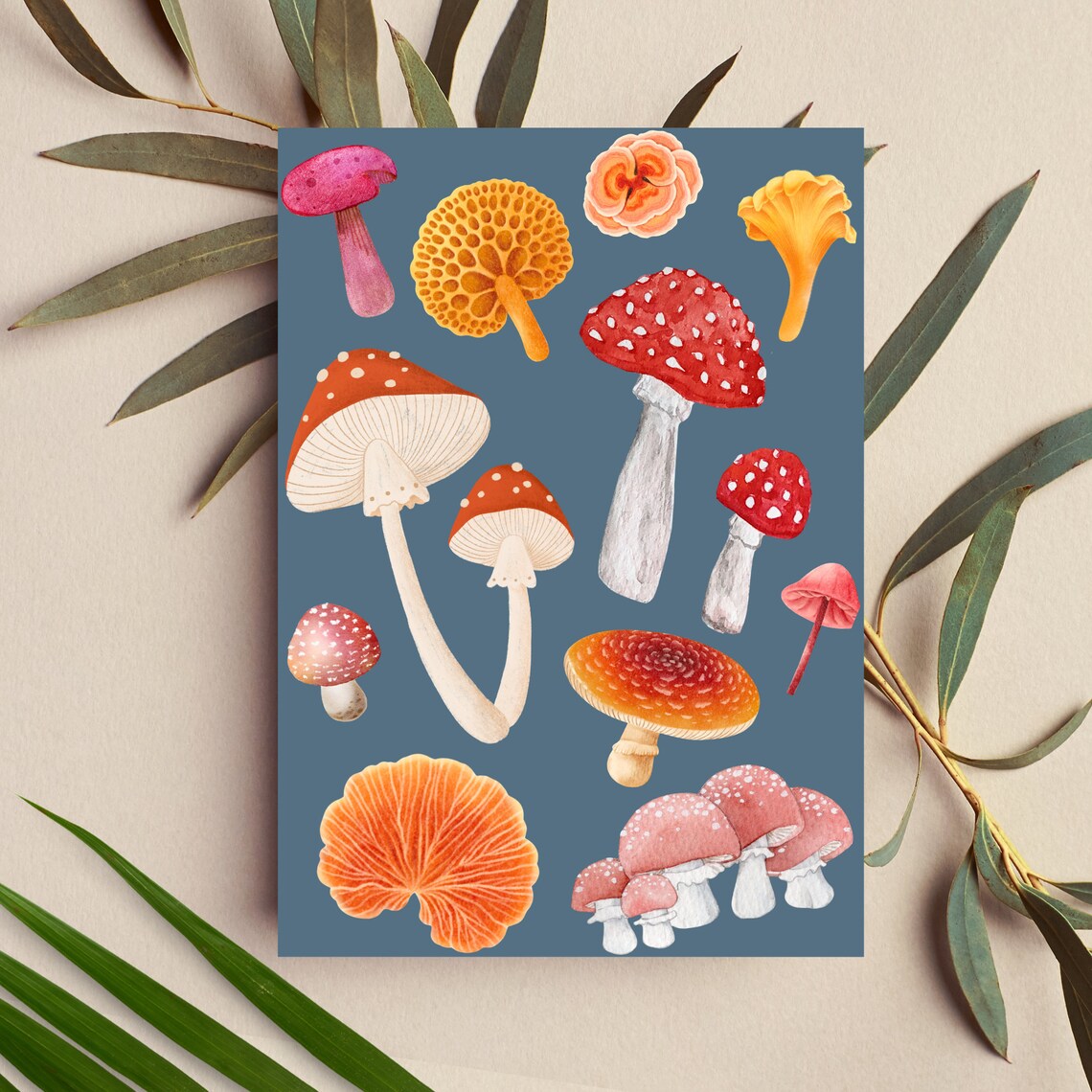Mushroom Fungi Card, Toadstool Fungus Print, Botanical Art Illustration ...