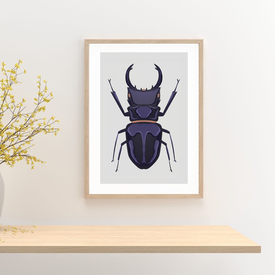 Blue Beetle Print, Insect Prints, Bug Print, Beetle Wall Art, Insect ...