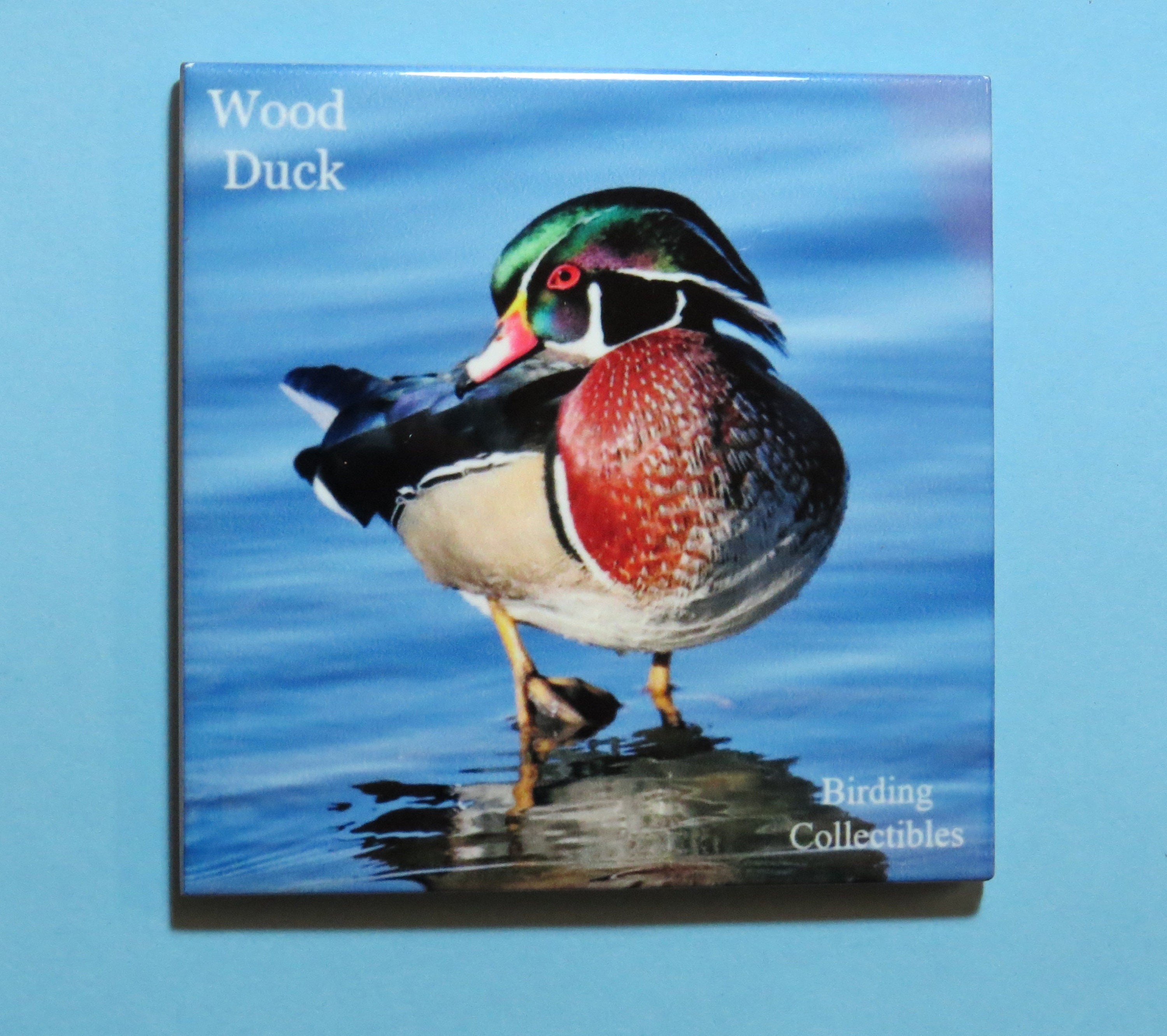 Wood Duck Tile Coaster Wood Duck Coaster Duck Trivet Duck - Etsy