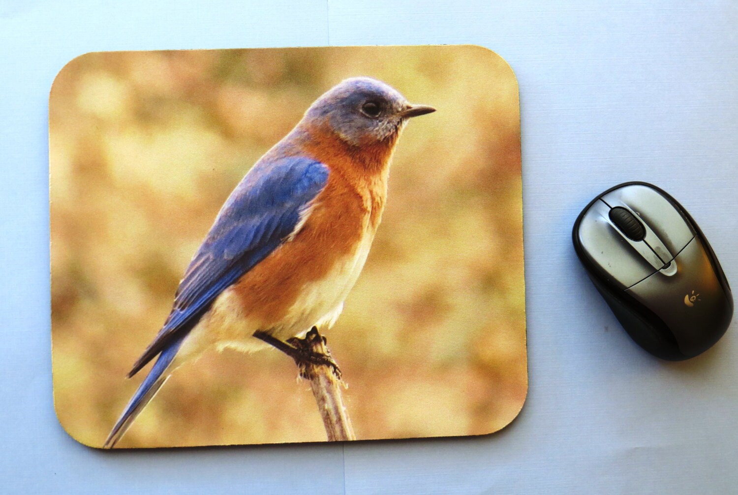 Eastern Bluebird Mouse Pad - Etsy