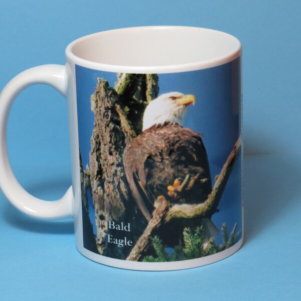 Bald Eagle Coffee Mug - Etsy