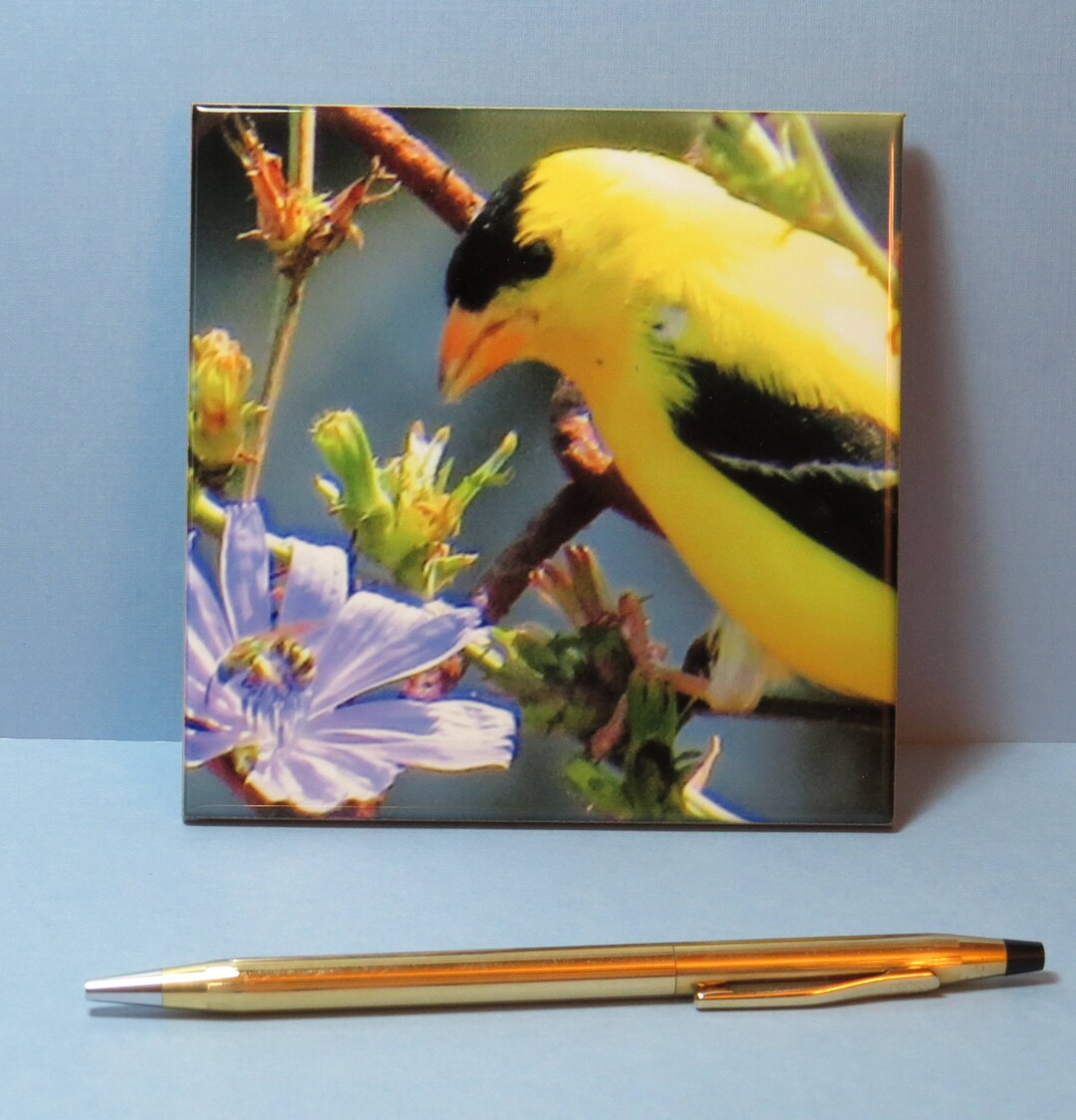 Goldfinch Ceramic Tile, Bird Coaster, Bird Lover Gift, Birder Gift ...