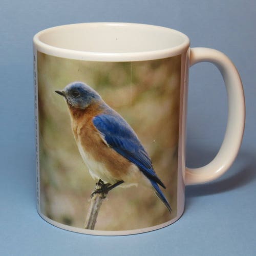 Bluebird Mug Blue Bird Lover Gift Blue Bird Coffee Mug - Etsy