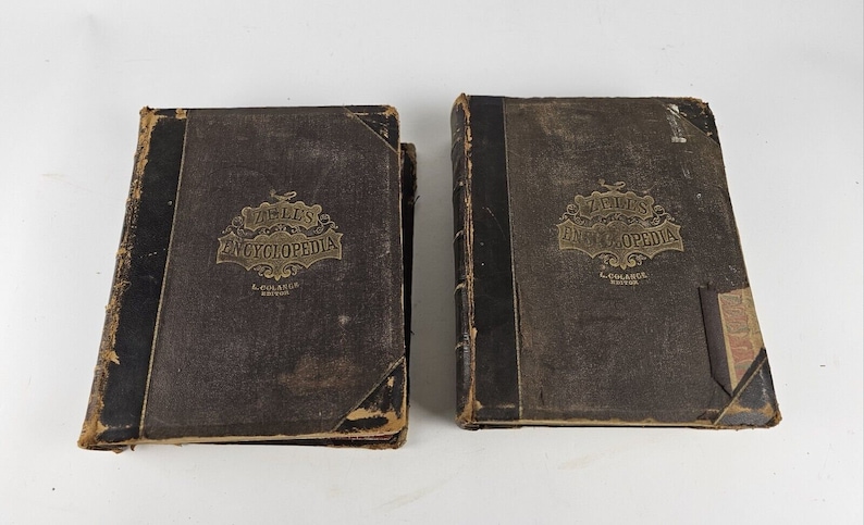 ZELL'S Popular Encyclopedia Dictionary Science Art Volume 1 & 2 Antique ...