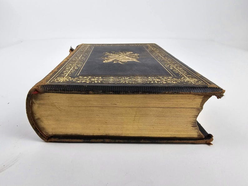 Antique 1905 German Bible Martin Luther Die Bibel Family Register ...