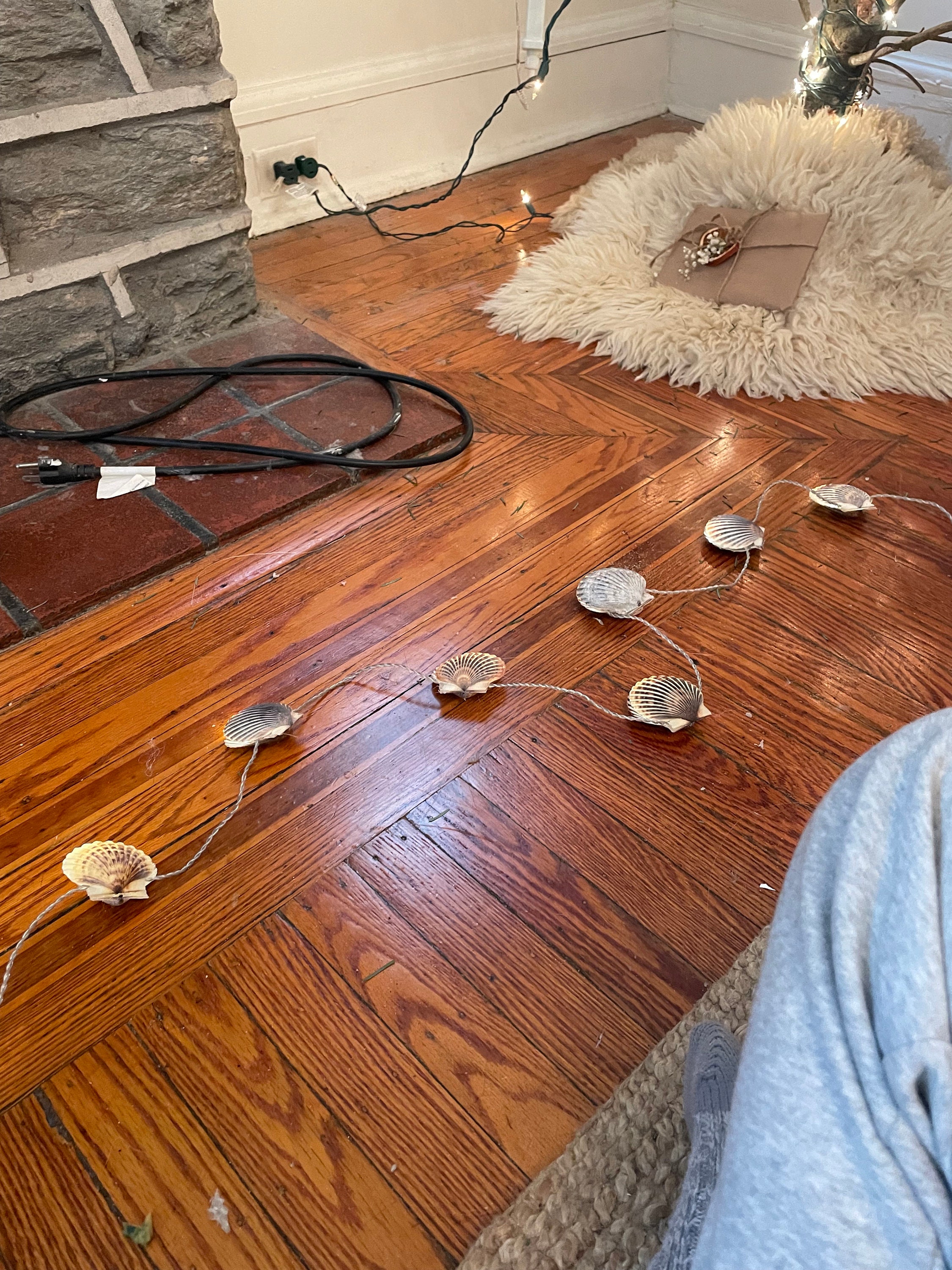 Nantucket Scallop Shell String Lights - Etsy