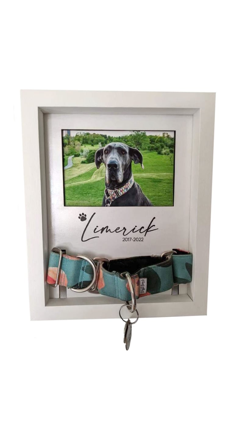 Custom Memorial Pet Frame Dog Collar Frame Memorial Collar Frame Pet ...