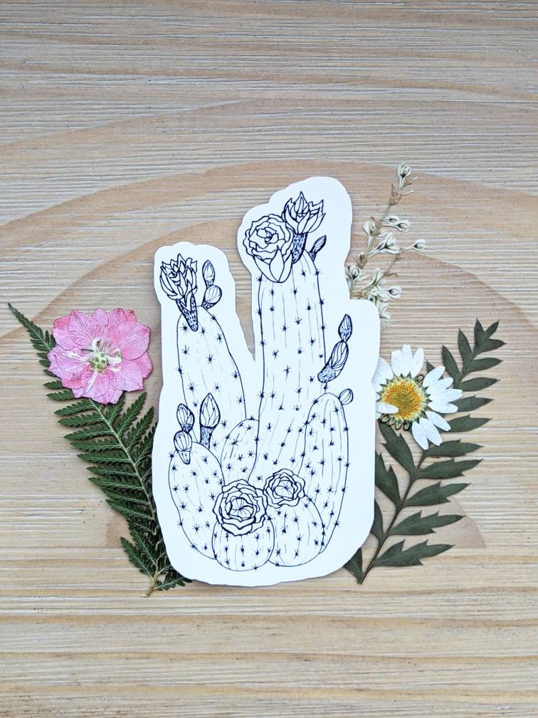 Cactus Sticker Cactus Art Cactus Bumper Sticker Cactus - Etsy