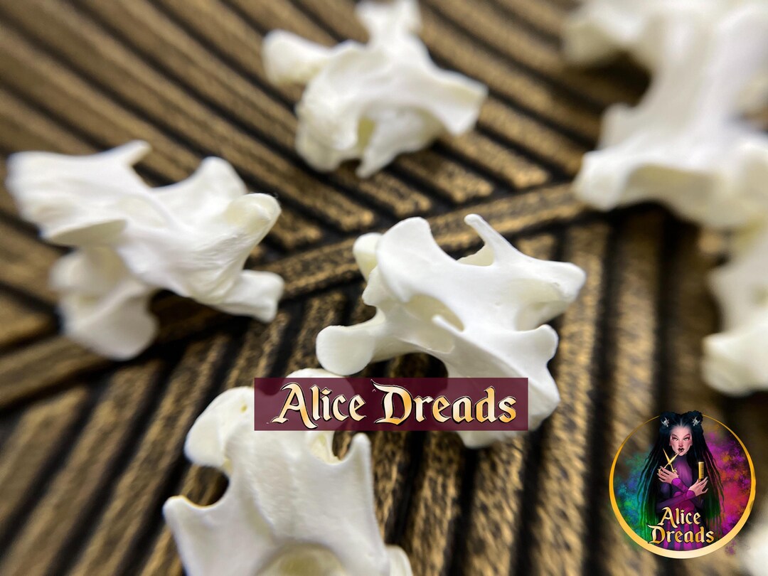 EAGLE Vertebrae Bead for Dreads Bones Beads for Dreadlocks Natural ...
