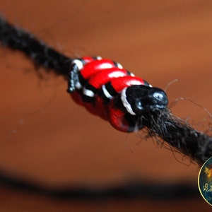 Bead for Your Dreads Snake Lampropeltis Triangulum Hair Beads for Your ...