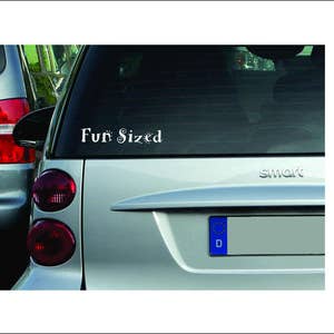 Fun Sized Decal / Sticker - Mini Cooper, Fiat, Smart Car - Etsy