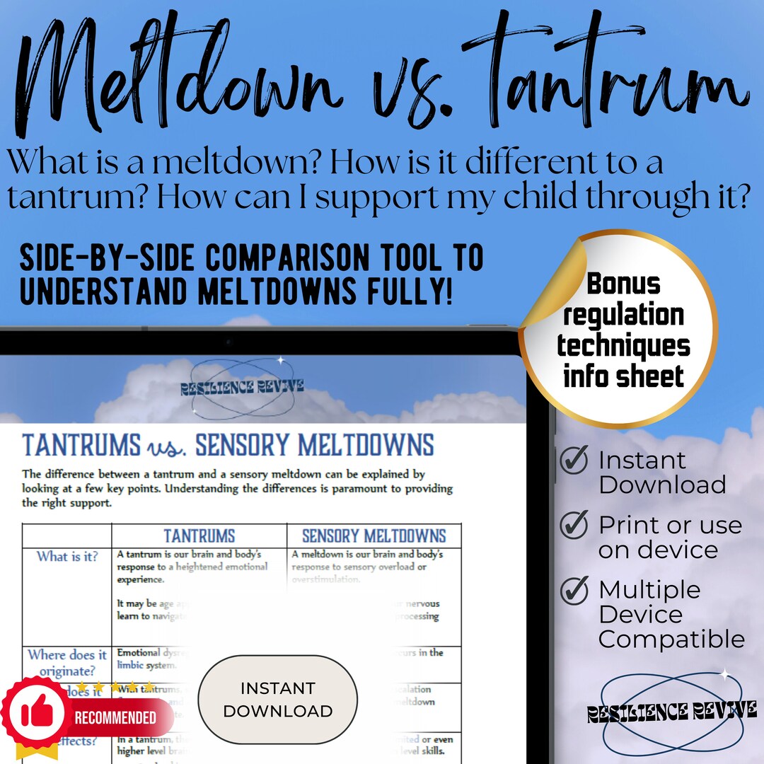 What is a Meltdown, Tantrum Vs Meltdown, Autism Parenting Support, Stop a Meltdown, Meltdown ...