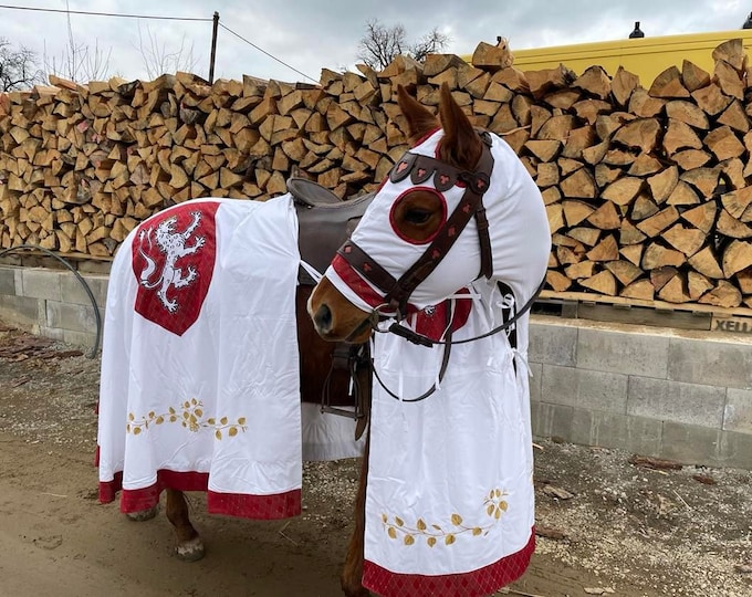 Destrier Horse Costume for Any Size Equine Horse Blanket and Breast ...