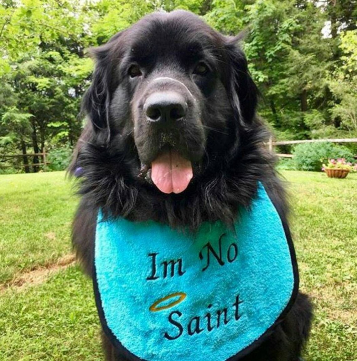 Dog Bib large Drool Bib Slobber Dog Bib newfoundland Bib | Etsy