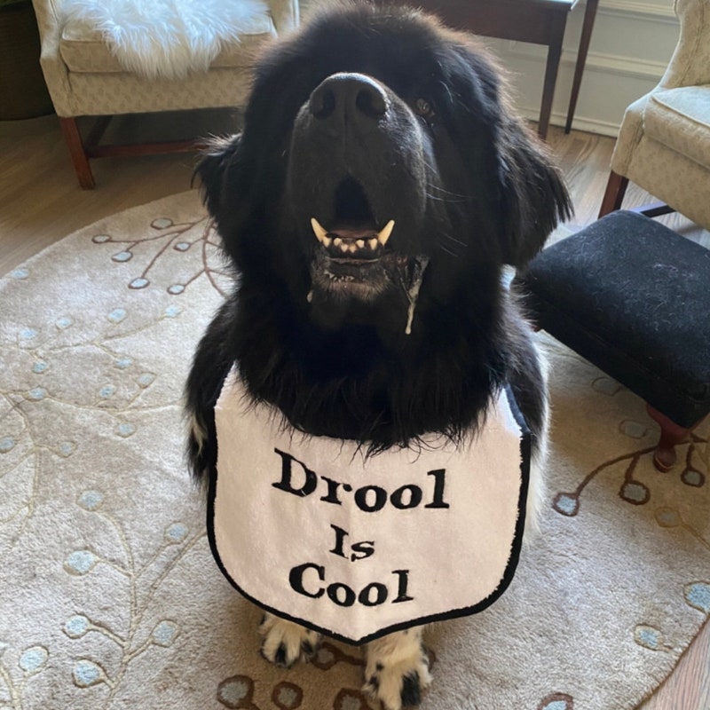 Dog Drool - Etsy