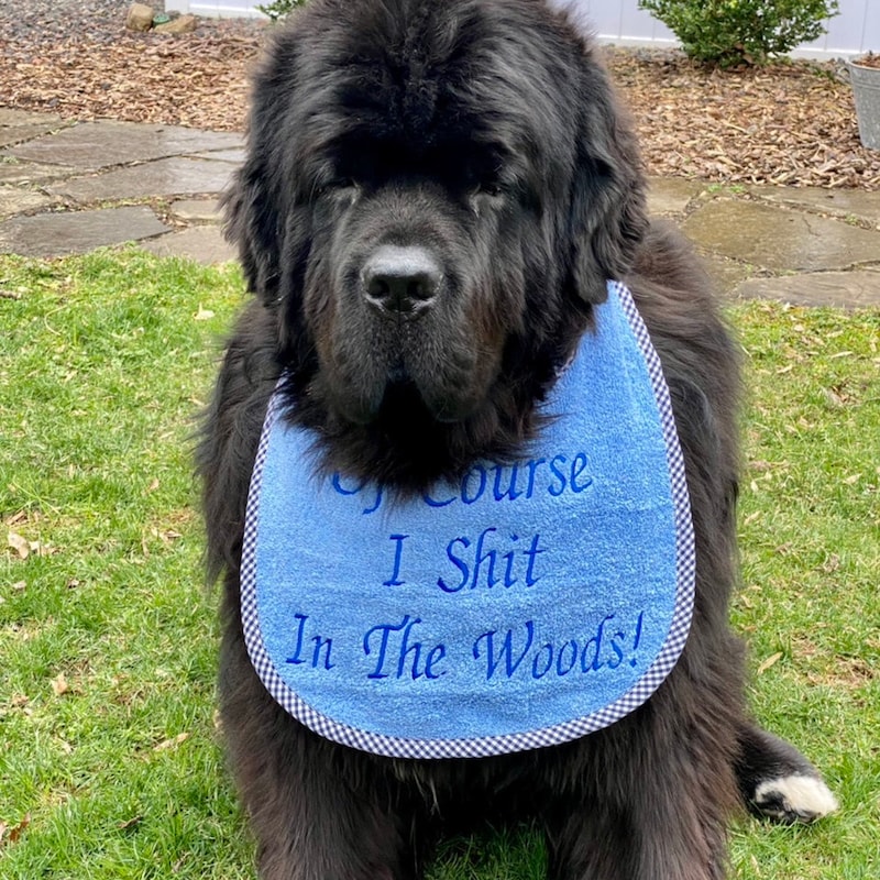 Newfoundland Dog Bib - Etsy