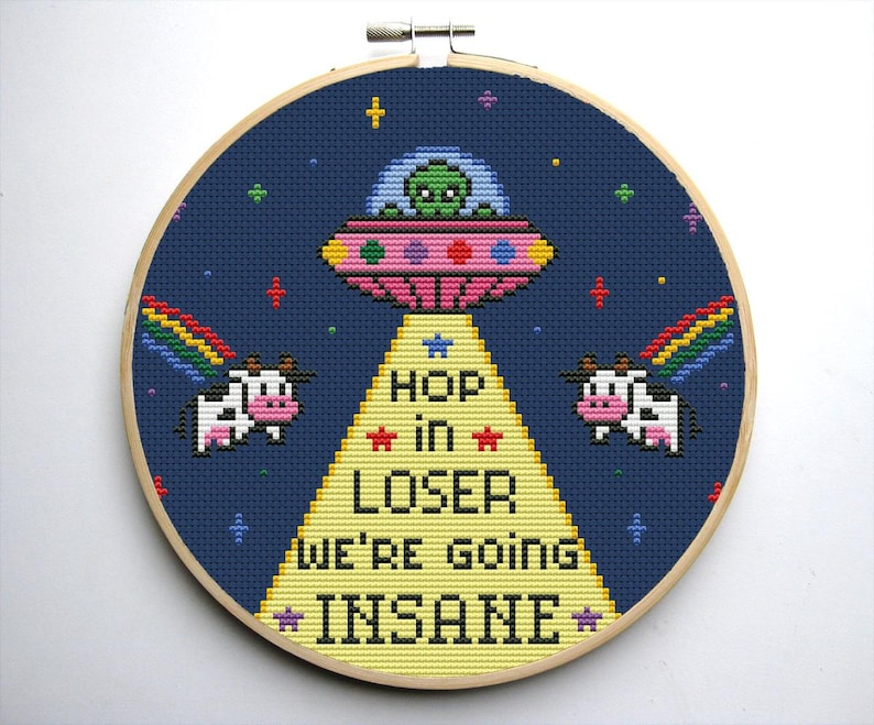 Hop in Loser Were Going Insane Funny Cross Stitch Pattern PDF Meme ...