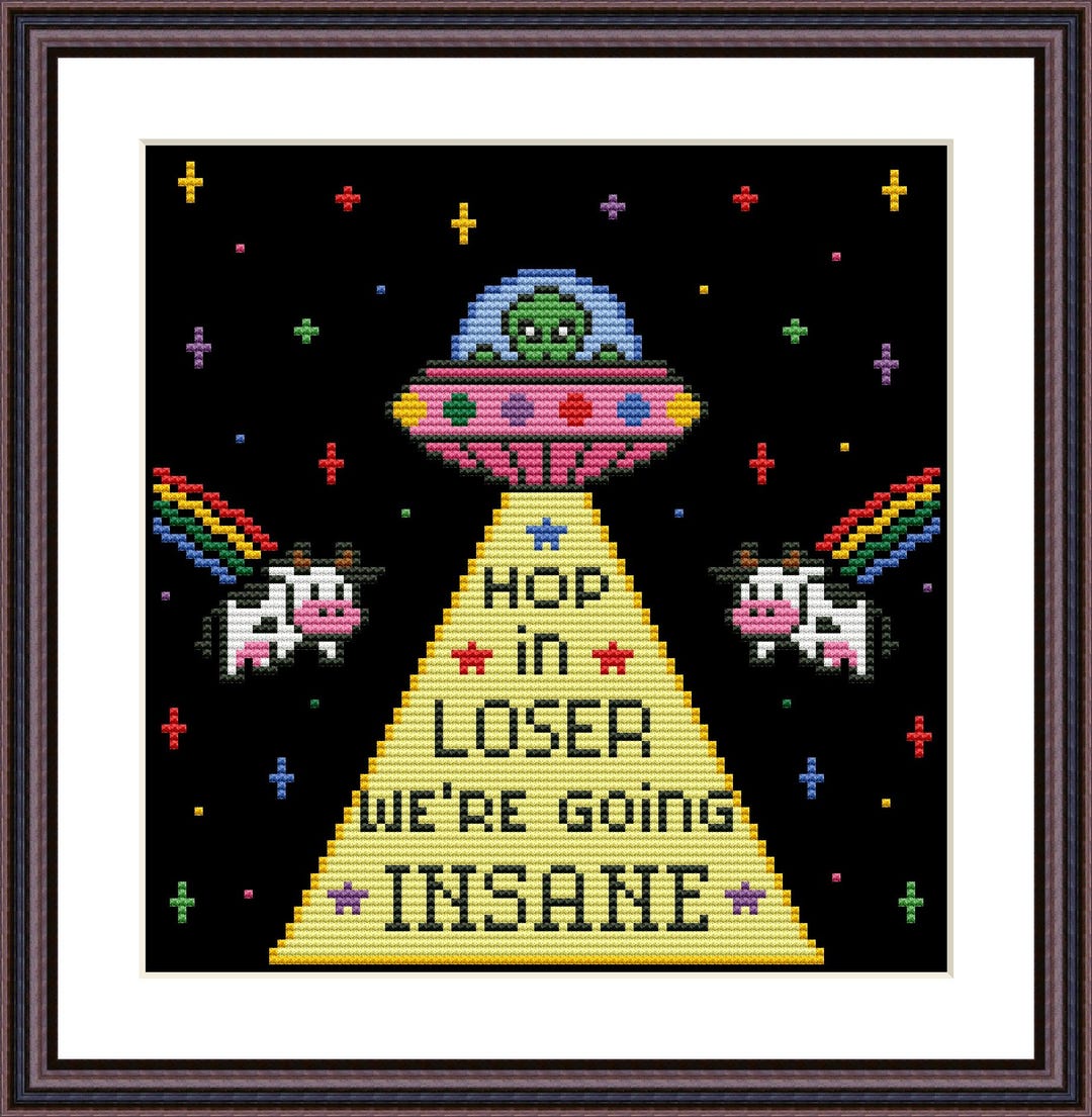 Hop in Loser Were Going Insane Funny Cross Stitch Pattern PDF Meme ...